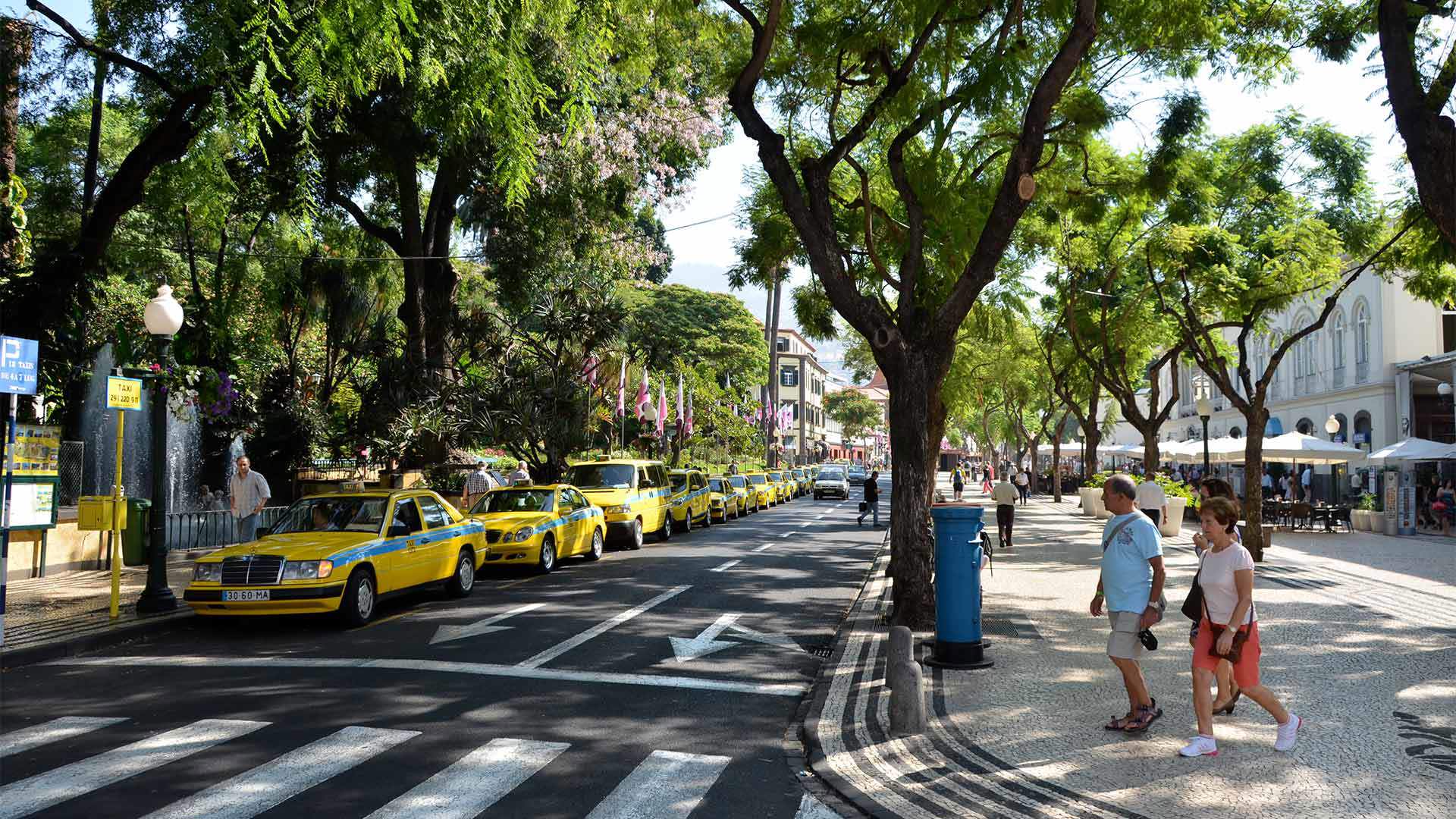 Taxi - Visit Madeira | Madeira Islands Tourism Board official website