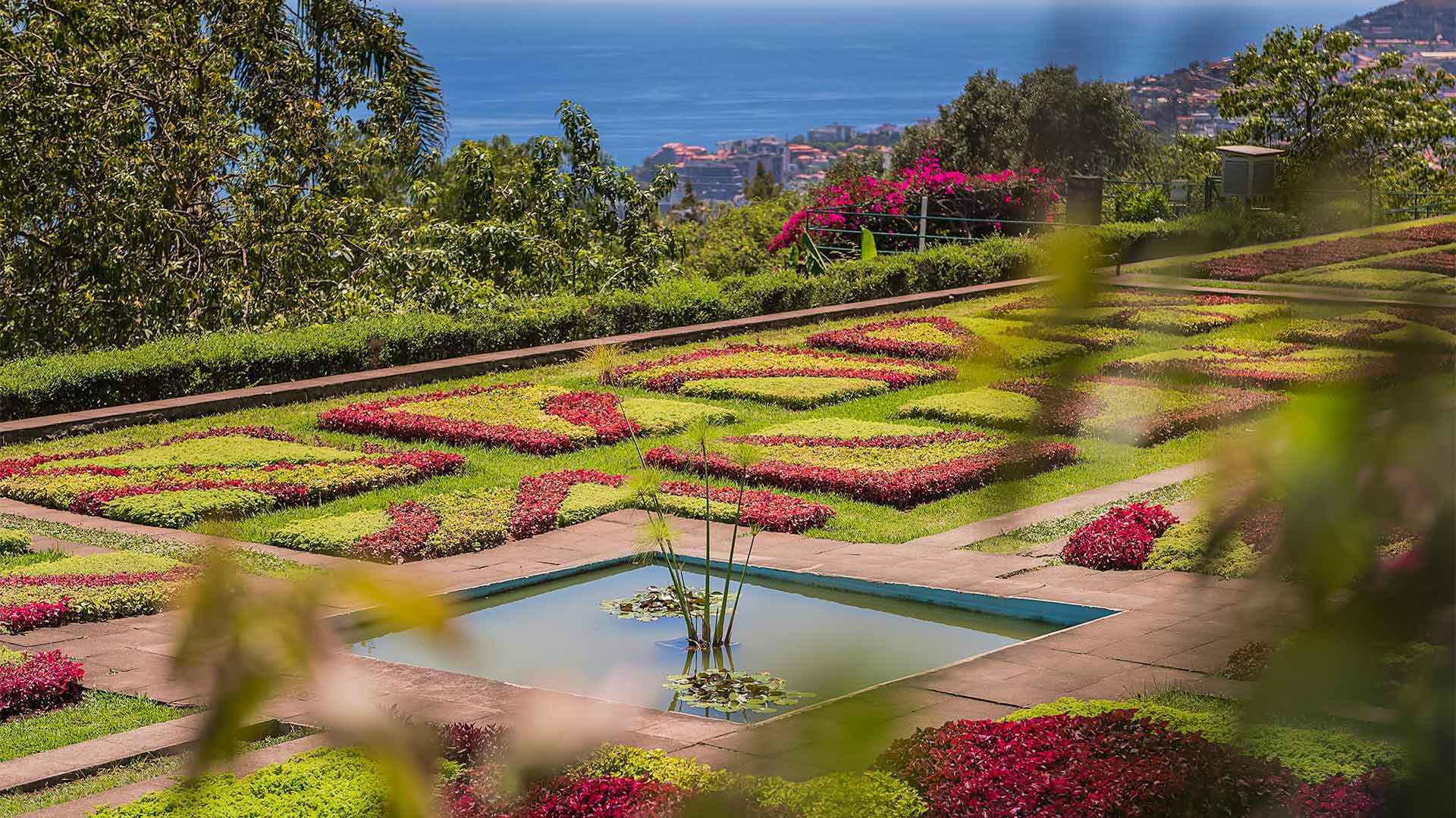 Exploring the City - Visit Madeira | Madeira Islands Tourism Board ...
