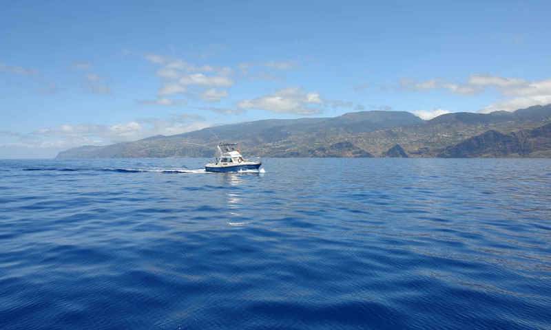 Actividades Marítimas en Madeira - Visit Madeira | Sitio web oficial de ...