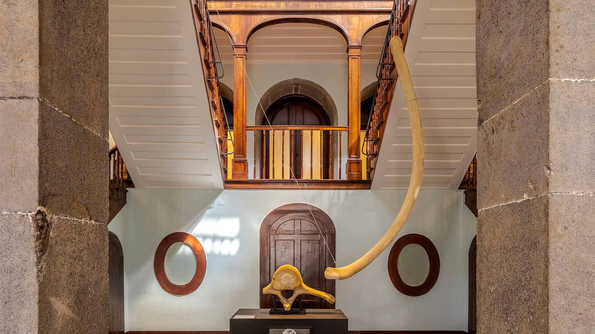 Natural History Museum of Funchal - Visit Madeira | Madeira Islands ...