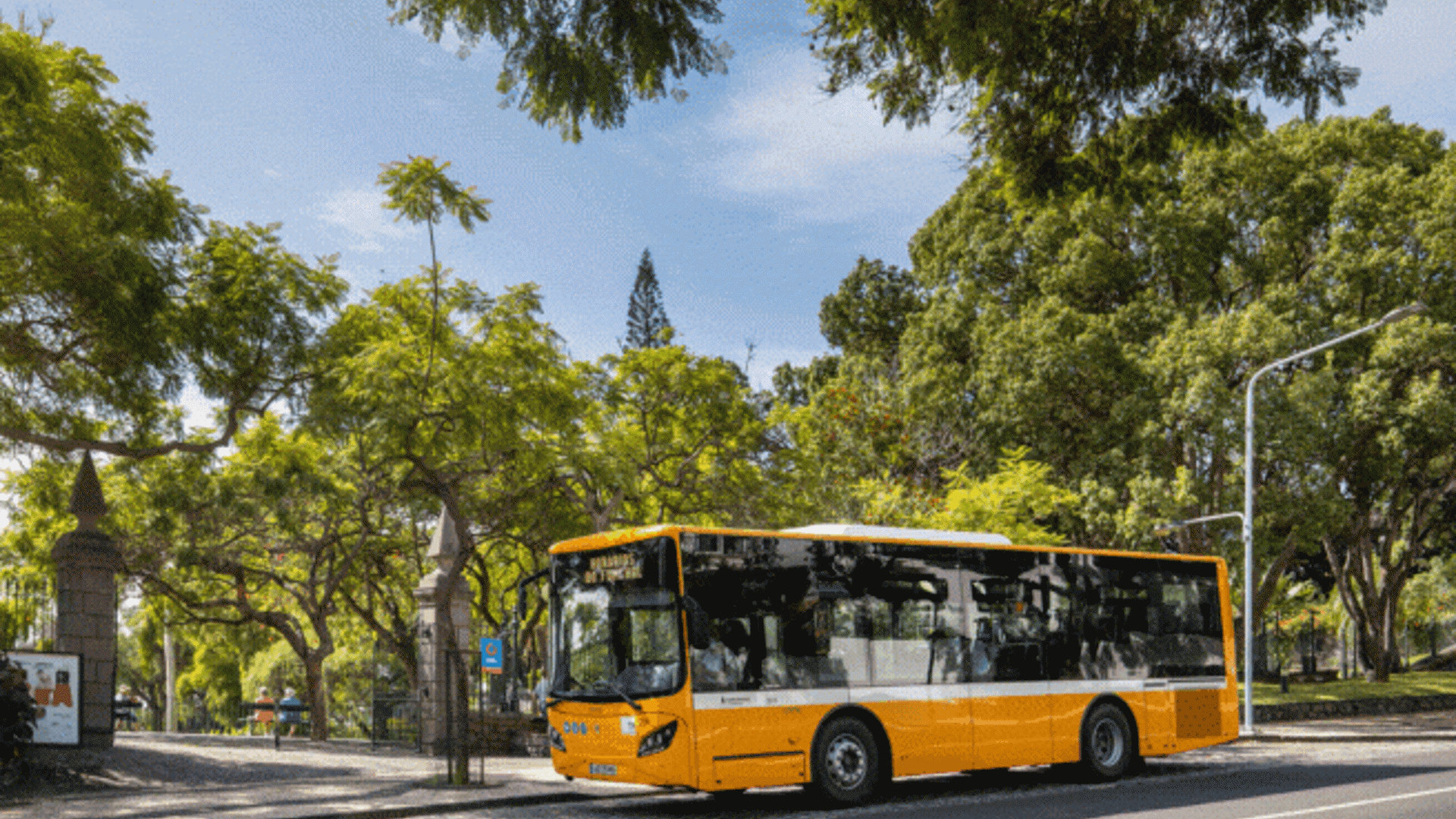 Means of Transportation - Visit Madeira | Madeira Islands Tourism Board ...