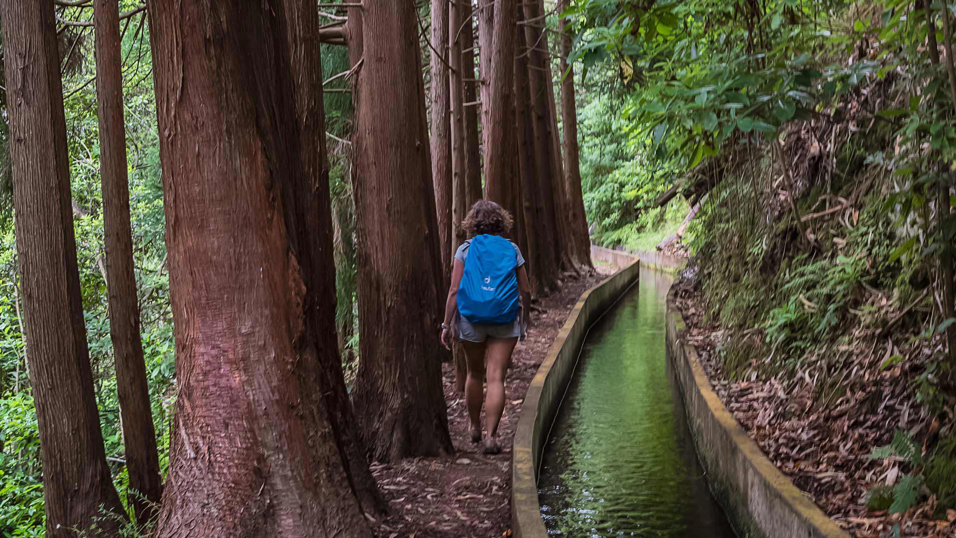 PR 16 - Levada Fajã do Rodrigues - Visit Madeira | Site oficial do ...
