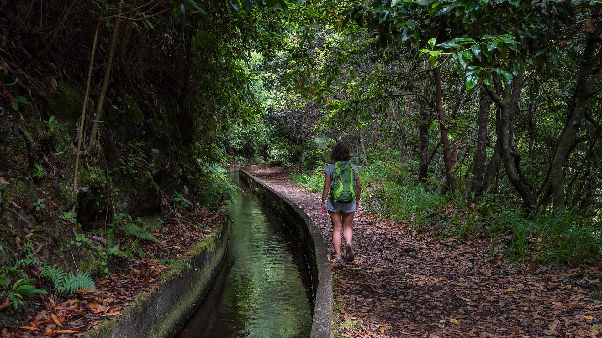 PR 16 - Levada Fajã do Rodrigues - Visit Madeira | Site oficial do ...