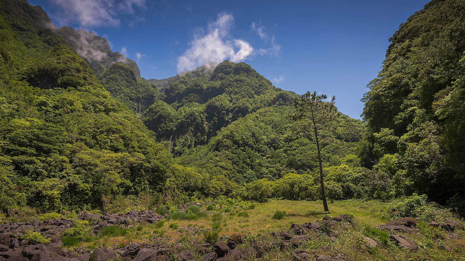 Nature Seekers - Visit Madeira | Madeira Islands Tourism Board official ...